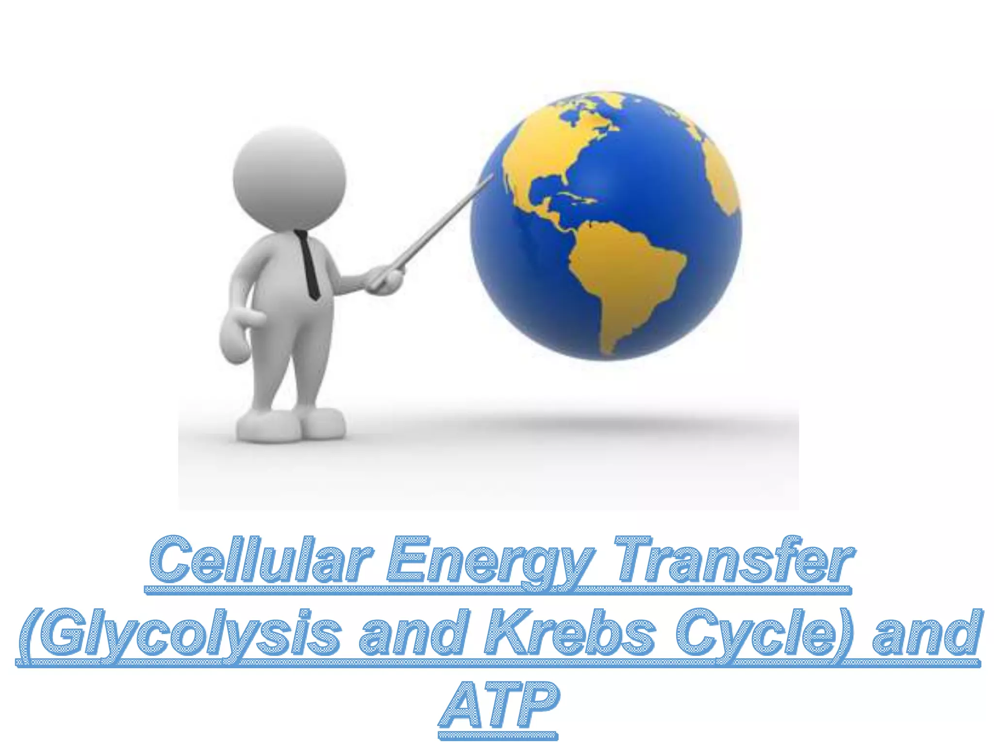 Cellular Energy Transfer (Glycolysis and Krebs Cycle) and ATP | PPTX