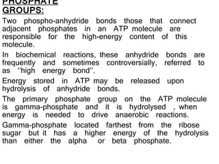 Cellular Energy Transfer (Glycolysis and Krebs Cycle) and ATP | PPTX