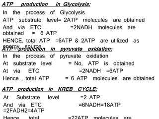 Cellular Energy Transfer (Glycolysis and Krebs Cycle) and ATP | PPTX