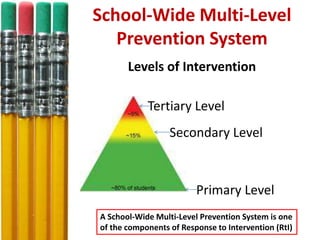 Multi level prevention | PPTX