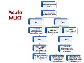 Multi ligamentous knee injury | PDF