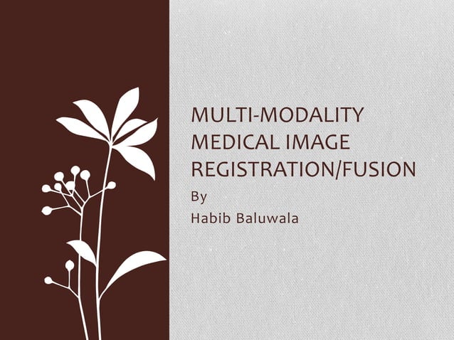 Multi modality medical image registration | PPT Multi modality medical image registration | PPT