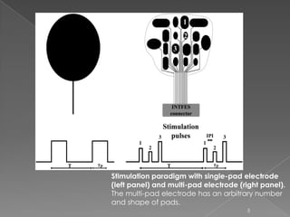 Multi pad electrode for effective grasping (2) | PPTX