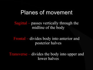 Multi Planar Training | PPT