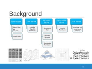 Multi Scale Directional Filtering Based Method for Follicular Lymphoma ...