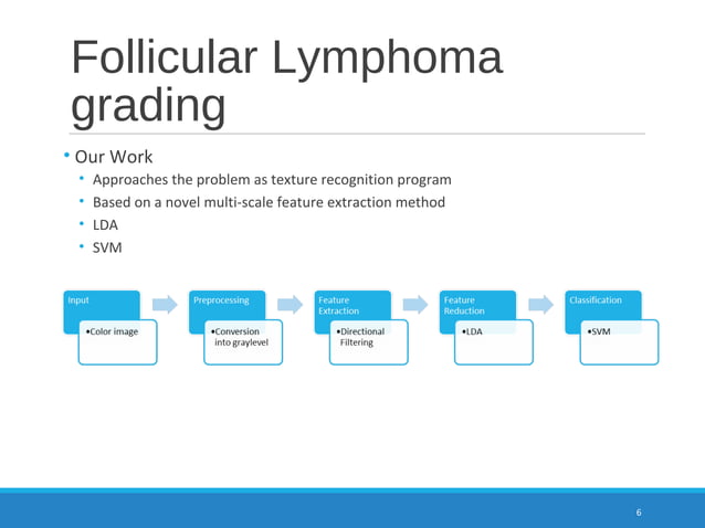 Multi Scale Directional Filtering Based Method For Follicular Lymphoma
