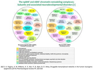 Multi scale, integrative data analytics in pharmacogenomics | PPT
