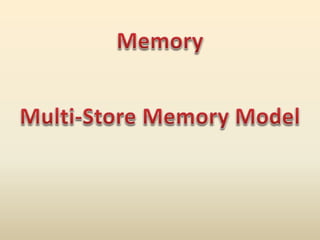 A-Level Psychology: Multi Store Memory Model - New Spec | PPTX