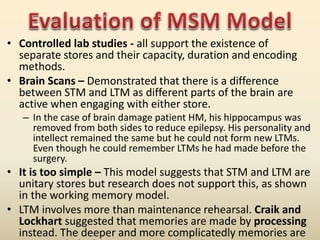 A-Level Psychology: Multi Store Memory Model - New Spec | PPTX