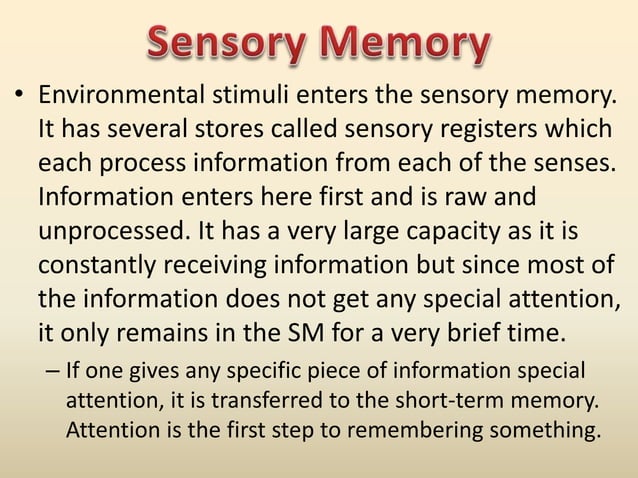 A-Level Psychology: Multi Store Memory Model - New Spec | PPTX | Data ...