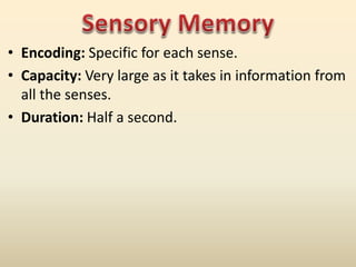 A-Level Psychology: Multi Store Memory Model - New Spec | PPTX
