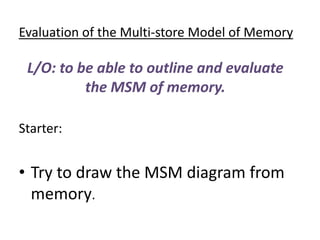 Multi store model of memory | PPTX