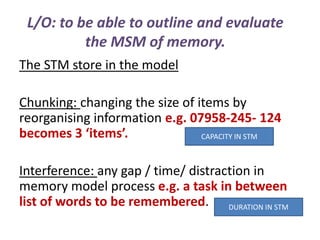 Multi store model of memory | PPTX