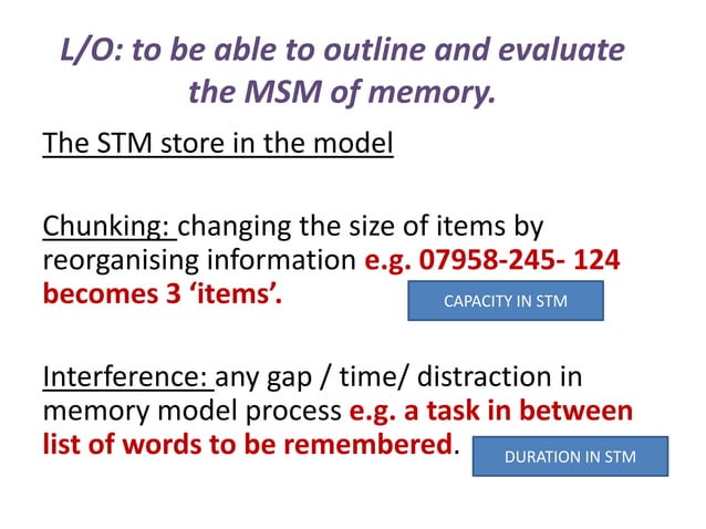 Multi store model of memory | PPTX