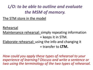 Multi store model of memory | PPTX