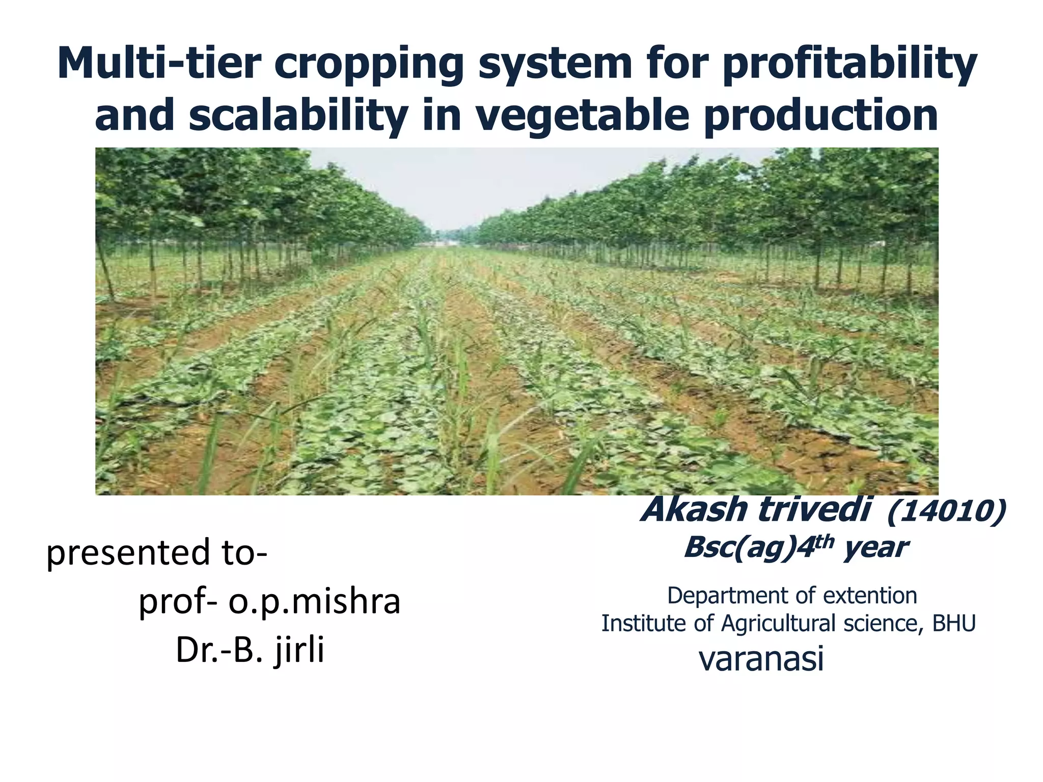 Multi tier cropping system | PPTX
