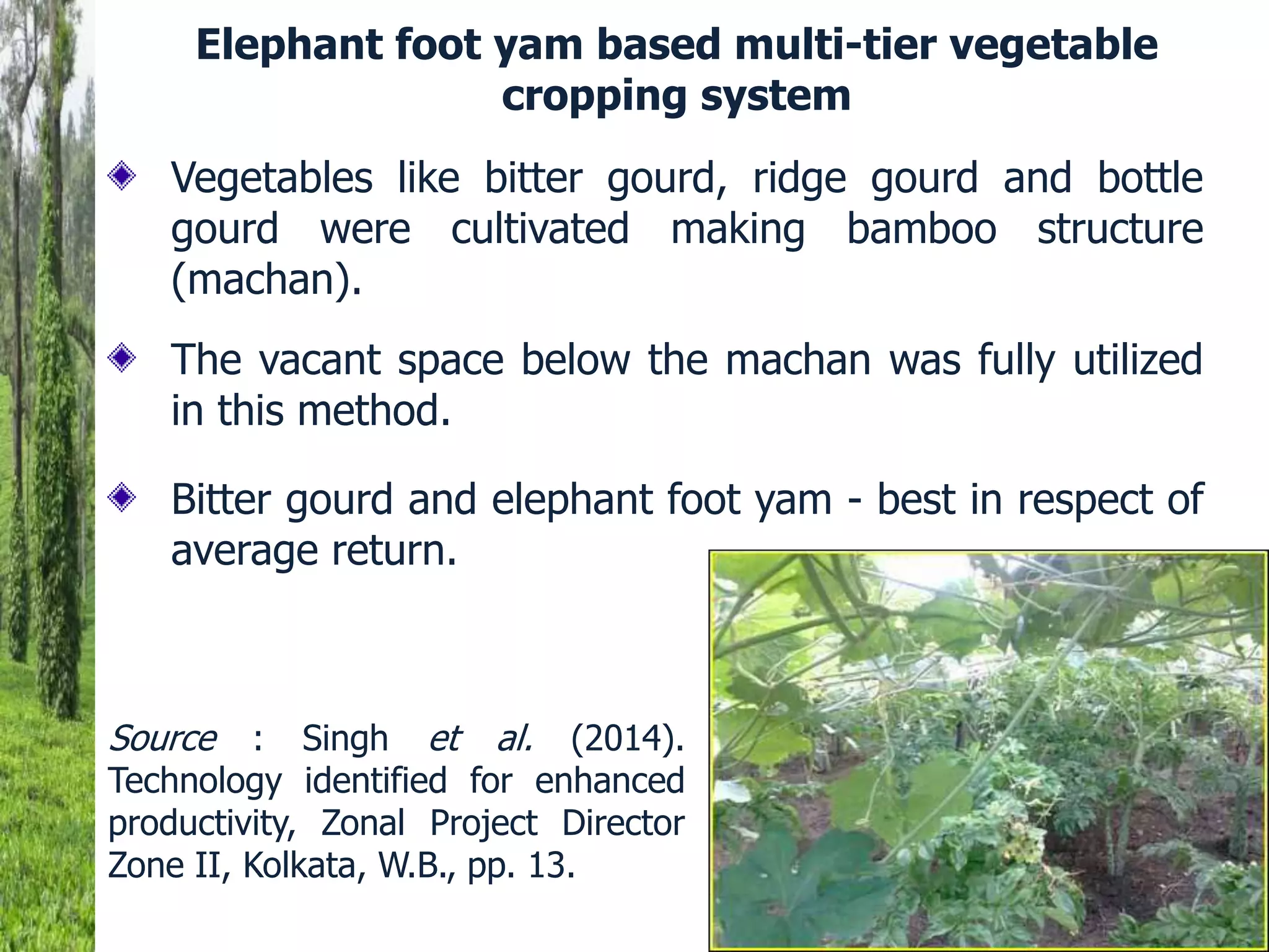 Multi tier cropping system | PPTX