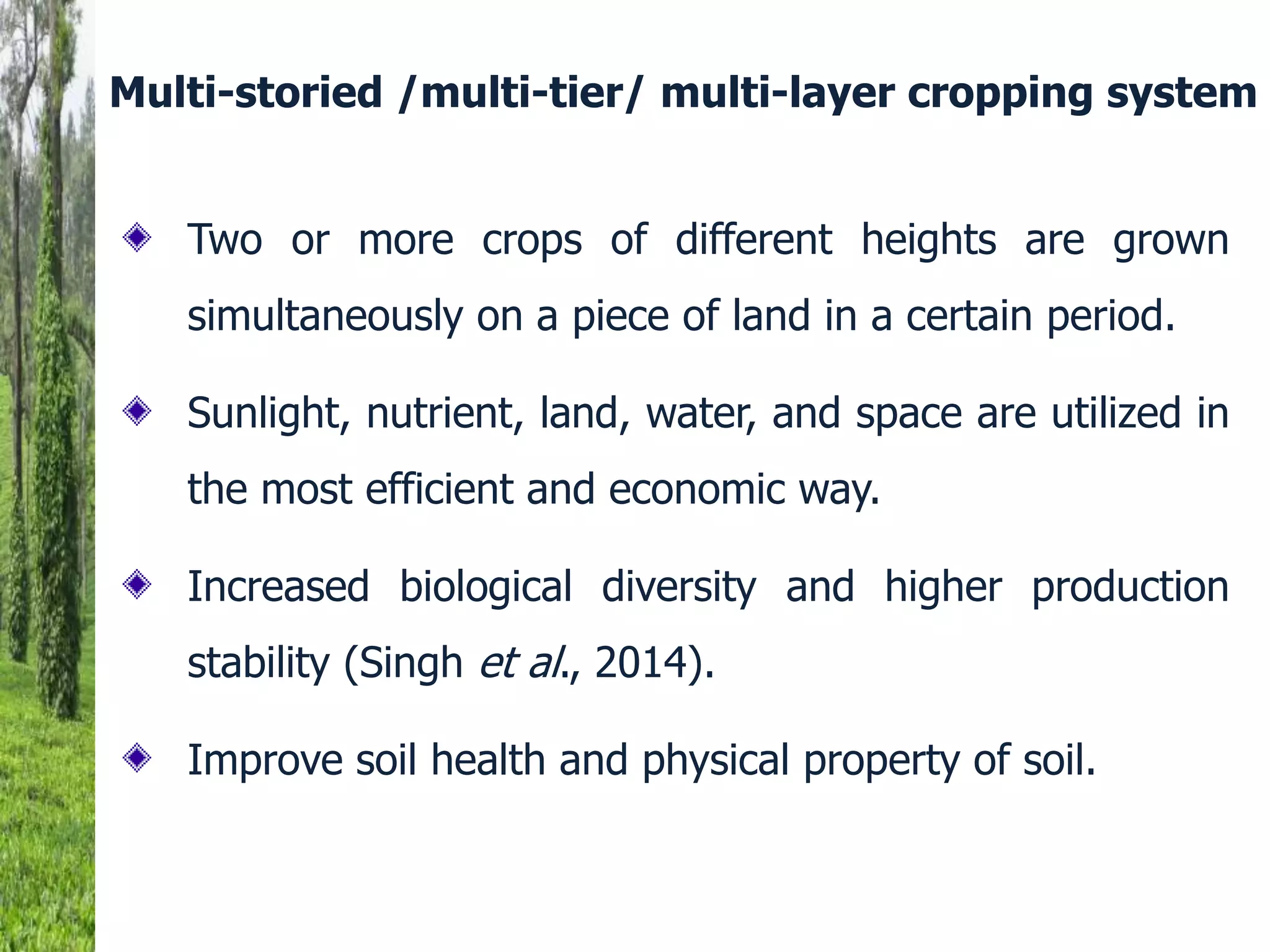 Multi tier cropping system | PPTX