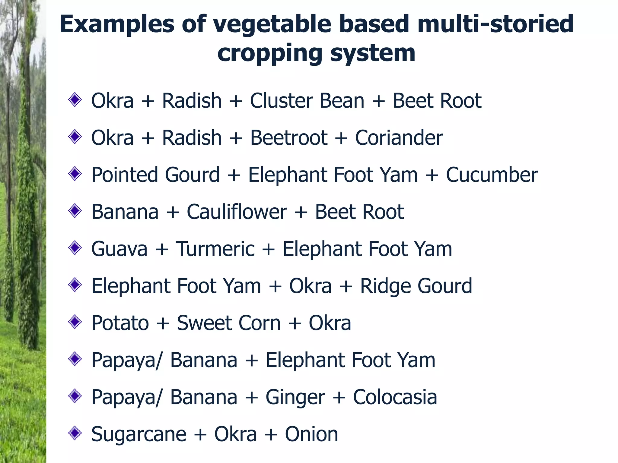 Multi tier cropping system | PPTX