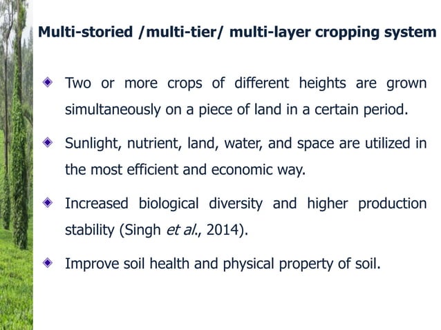 Multi tier cropping system | PPTX | Agriculture | Industries