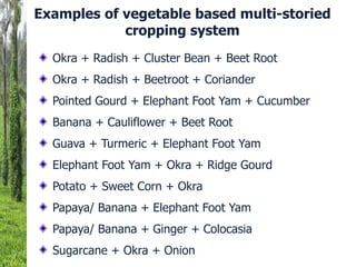 Multi tier cropping system | PPTX