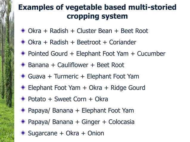 Multi tier cropping system | PPTX | Agriculture | Industries