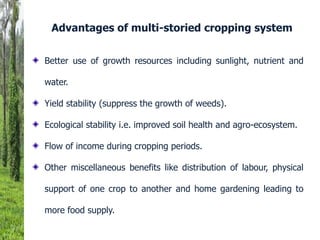 Multi tier cropping system | PPTX