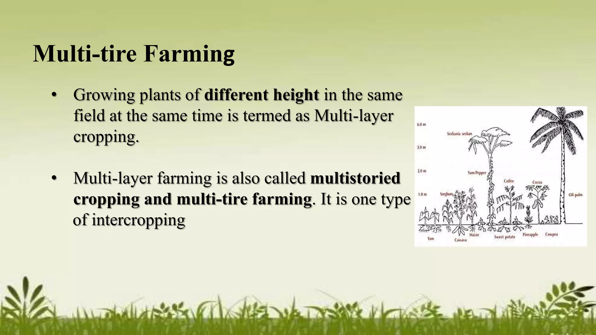Multi-tire Farming.pptx