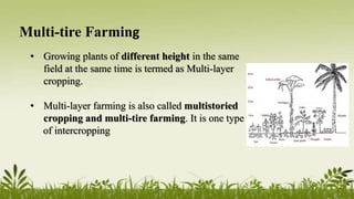 Multi-tire Farming.pptx