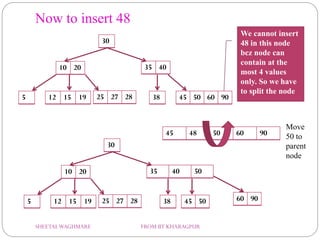 Multi ways trees | PPTX