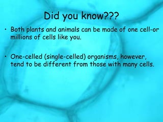 Multi and single celled organisms comparisons | PPT