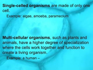 Multi and single celled organisms comparisons | PPT