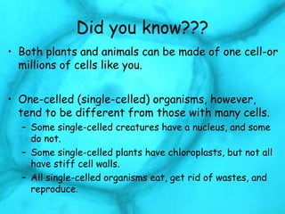 Multi and single celled organisms comparisons | PPT