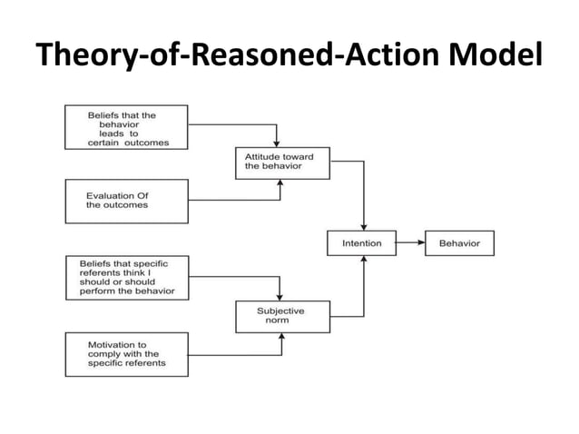 Multi attribute attitude model | PPTX