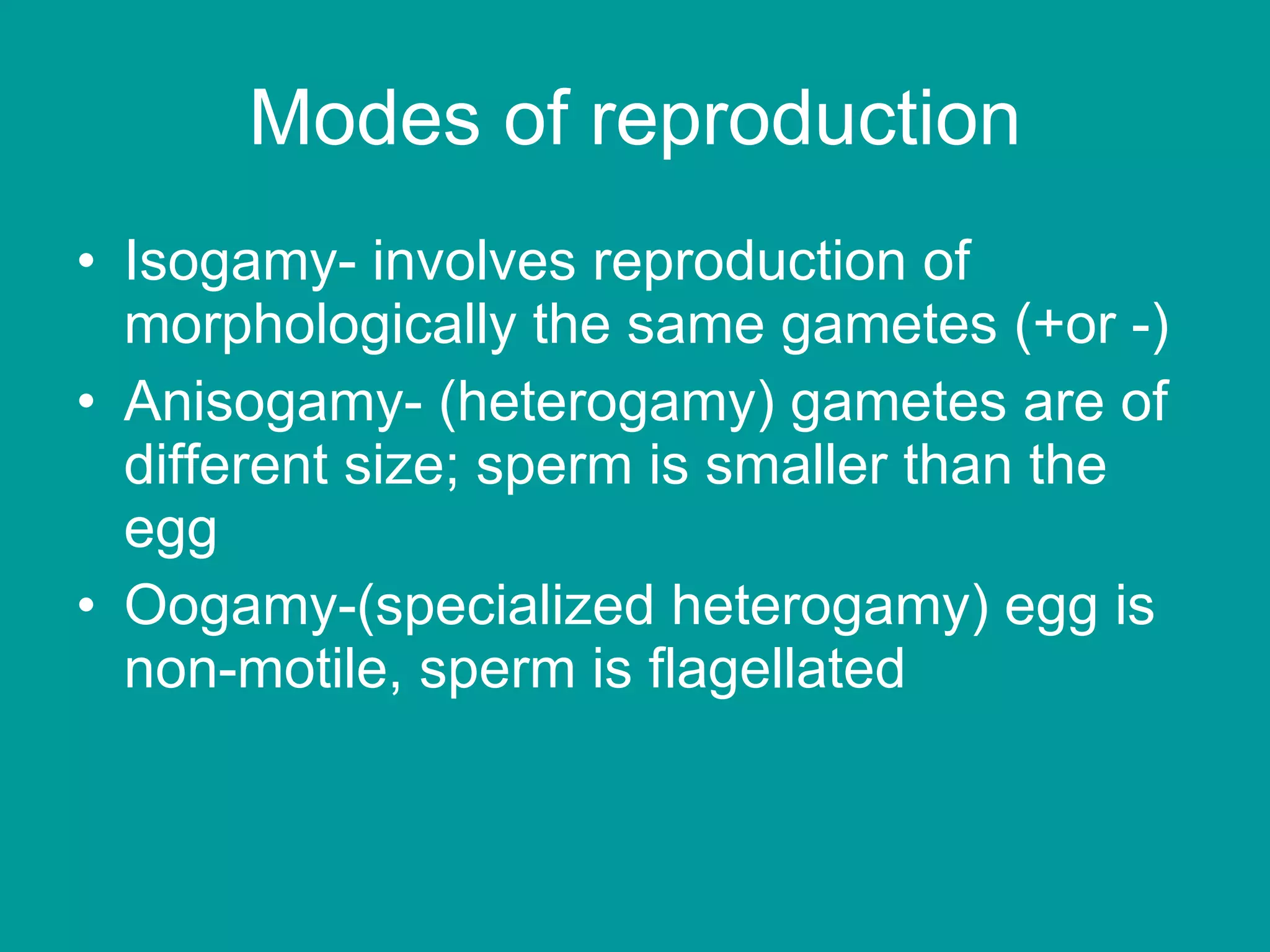 Multicellularity and the volvocine series | PPT