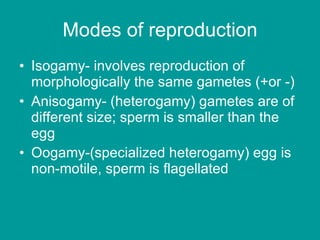Multicellularity and the volvocine series | PPT | Biological Sciences ...