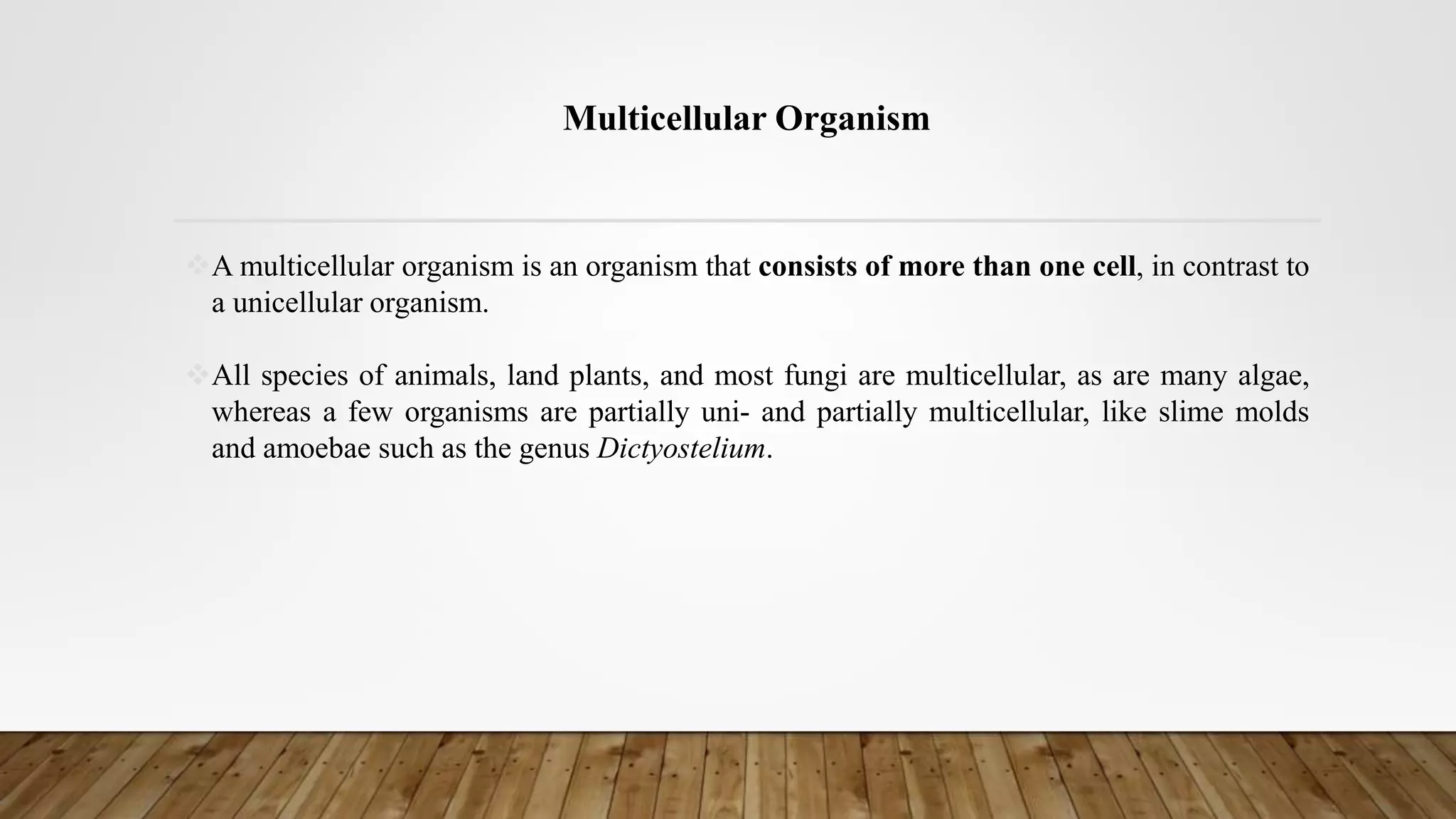 Multicellular Organism And Origin Hypothesis Of Multicellularity | PPTX
