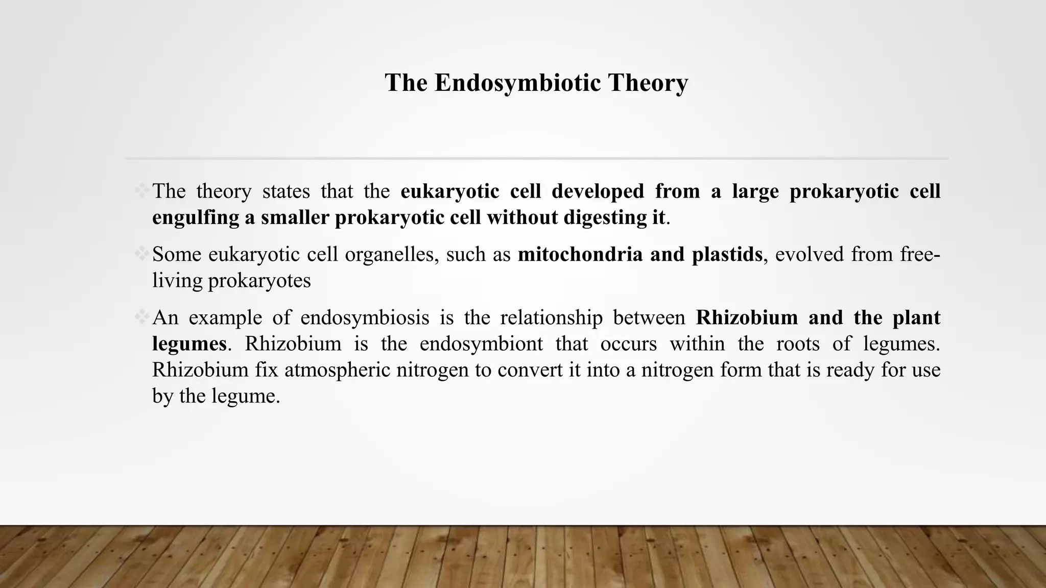 Multicellular Organism And Origin Hypothesis Of Multicellularity | PPTX