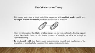 Multicellular Organism And Origin Hypothesis Of Multicellularity | PPTX