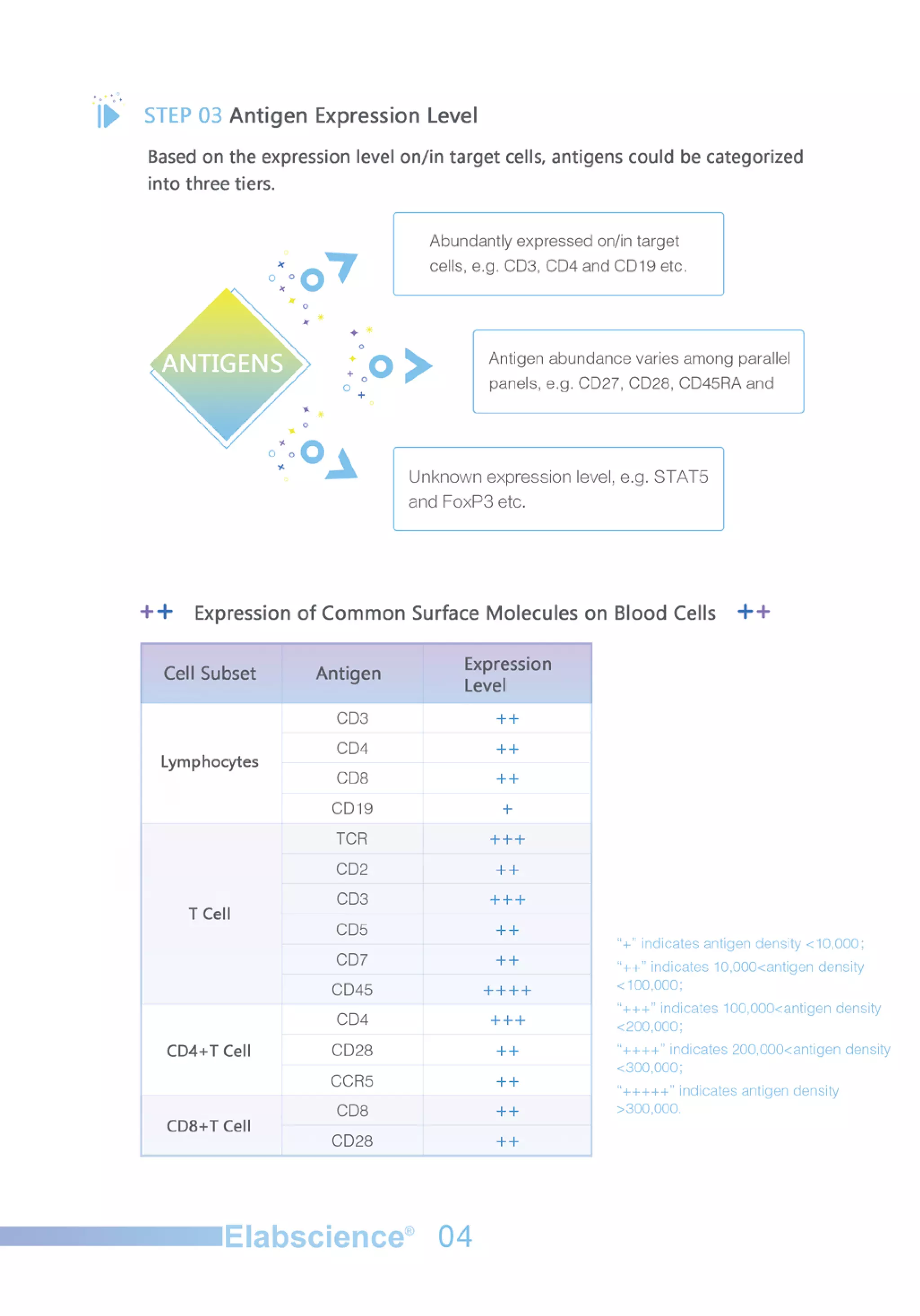 Multi Color Panel Design In Flow Cytometry Pdf