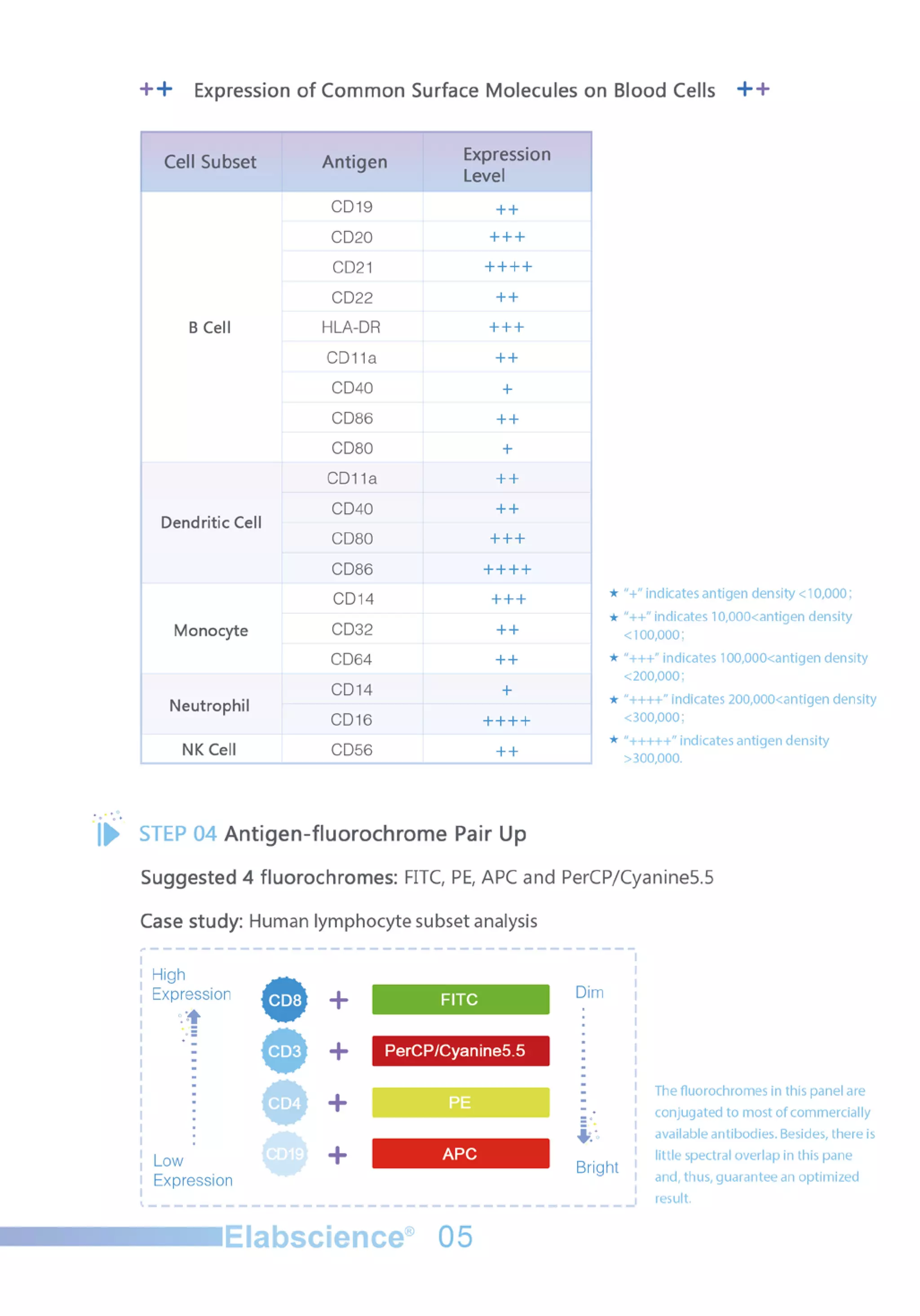 Multi Color Panel Design in Flow Cytometry | PDF