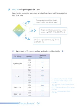 Multi Color Panel Design in Flow Cytometry | PDF