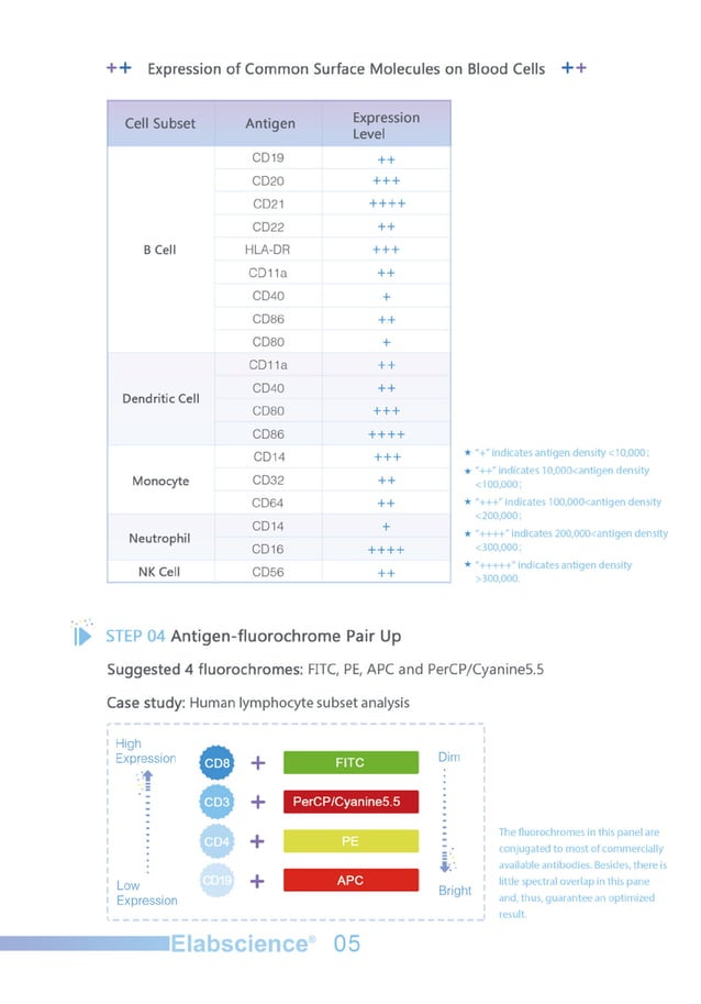 Multi Color Panel Design in Flow Cytometry | PDF