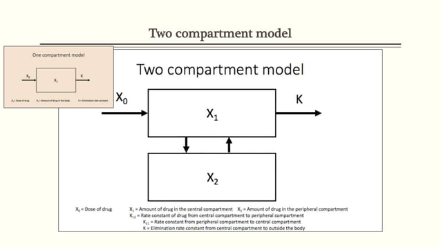 Multicompartment model IV Bolus | PPTX | Chemistry | Science