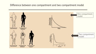 Multicompartment model IV Bolus | PPTX