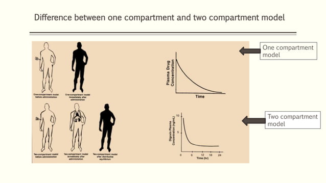 Multicompartment model IV Bolus | PPTX | Chemistry | Science