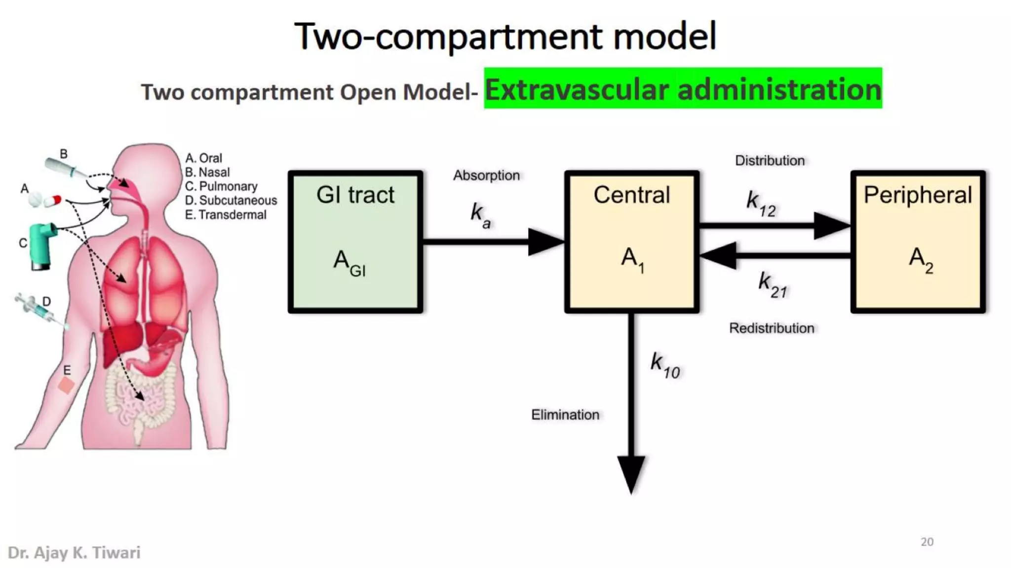 Multicompartment models by akt | PPTX