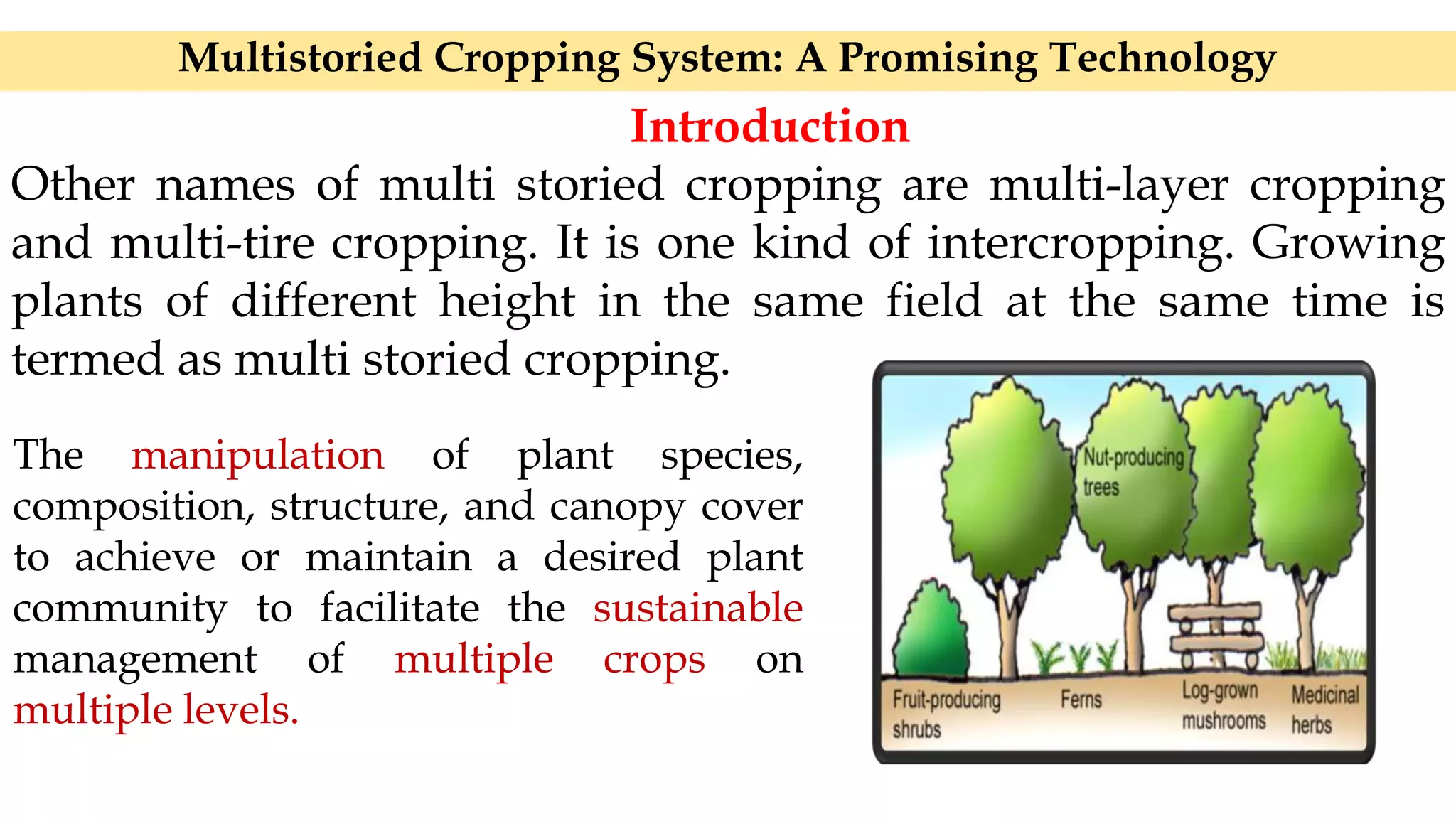 Multi Croppingpptx