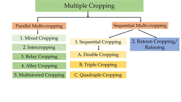 Multi cropping.pptx | Agriculture | Industries