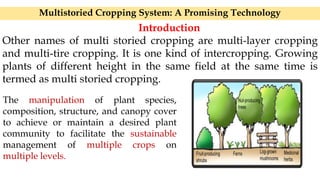 Multi cropping.pptx